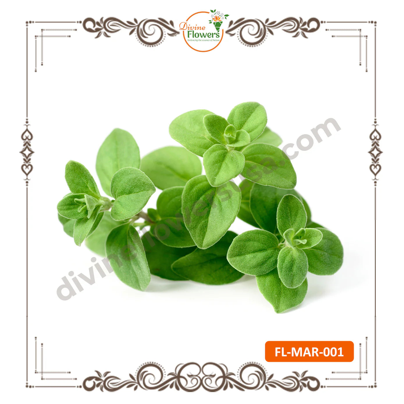 Premium Maruvam - Natural Wellness – Divine Flowers