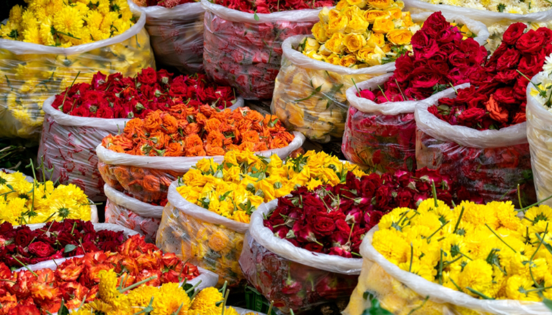 Fresh Indian Flowers and Wedding Garlands - Divine Flowers