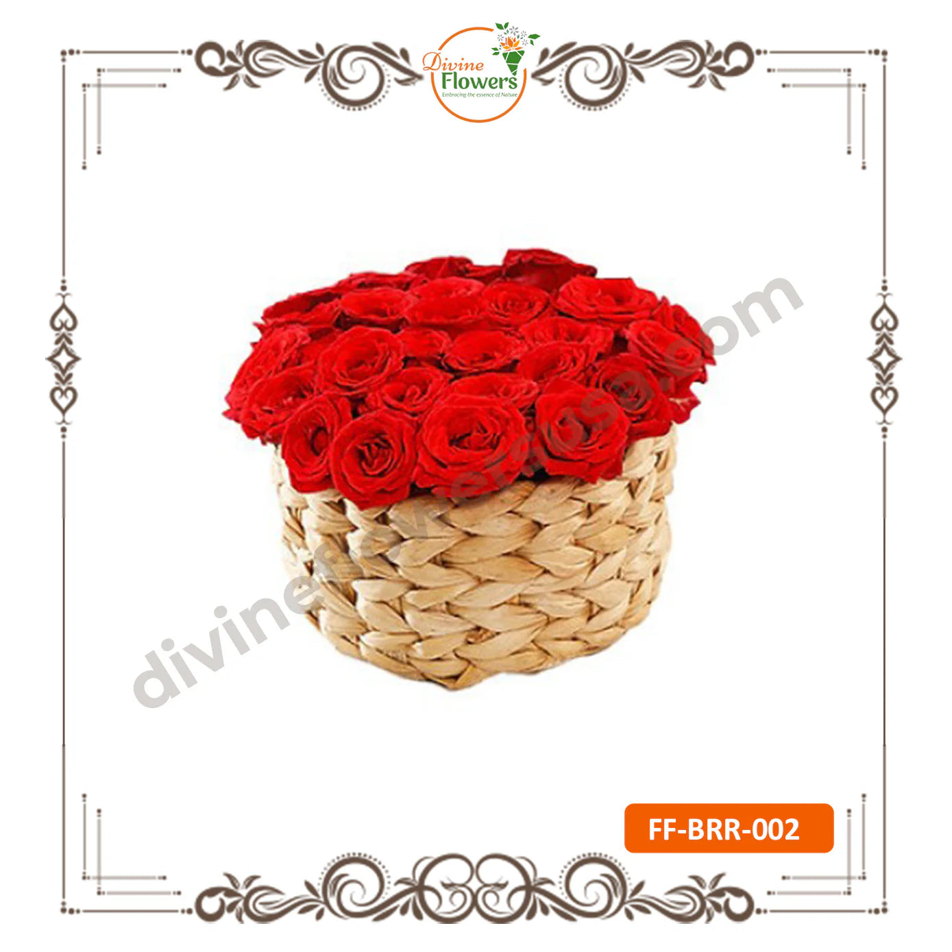Stunning Red Button Rose Flowers - Divine Flowers
