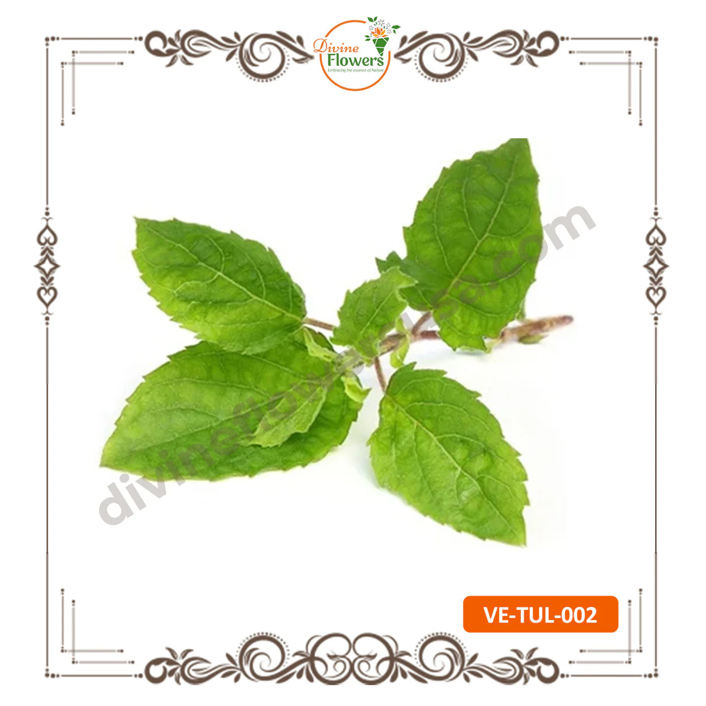 Pure Tulsi: VA-TUL-002 for Vaikunta Ekadesi Blessings – Divine Flowers